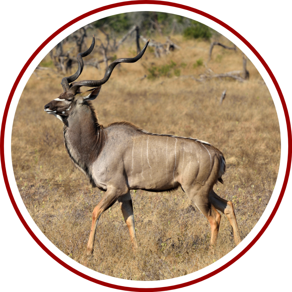 Rocklands Game Farm